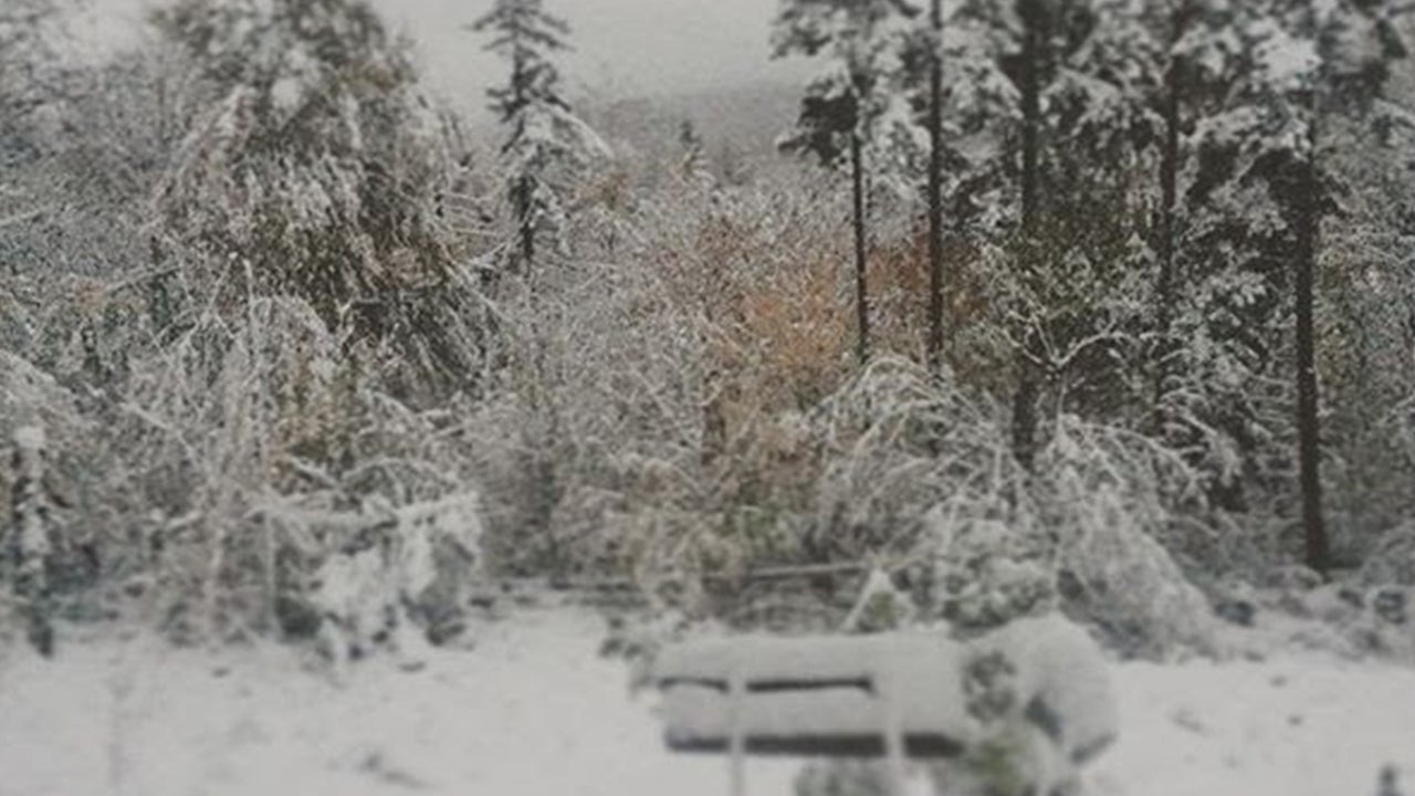 Warm Snow