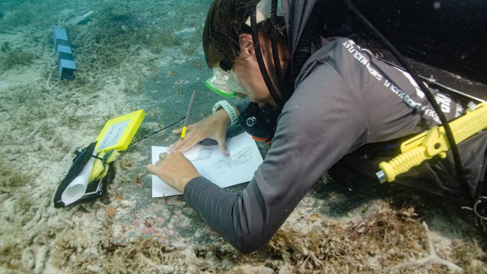 Dry Tortugas Discovery Highlights Race To Save Historic Sites | Weather.com