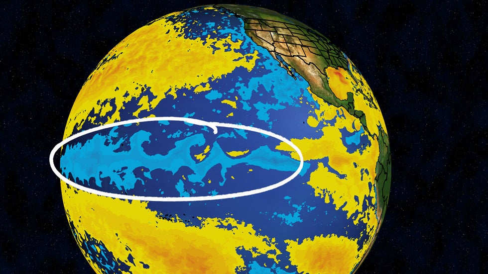 From Strong El Niño To La Niña: How Past Hurricane Seasons Have Turned ...