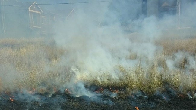 Unusual Warmth Causes Brush Fire Threat in Texas; Grass Fire Erupts in ...