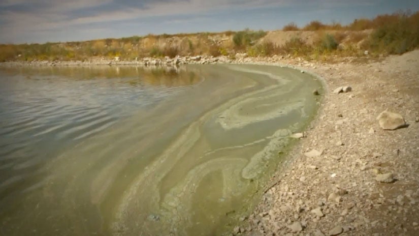 Utah Lake Closed After Toxic Algae Bloom Confirmed | The Weather Channel