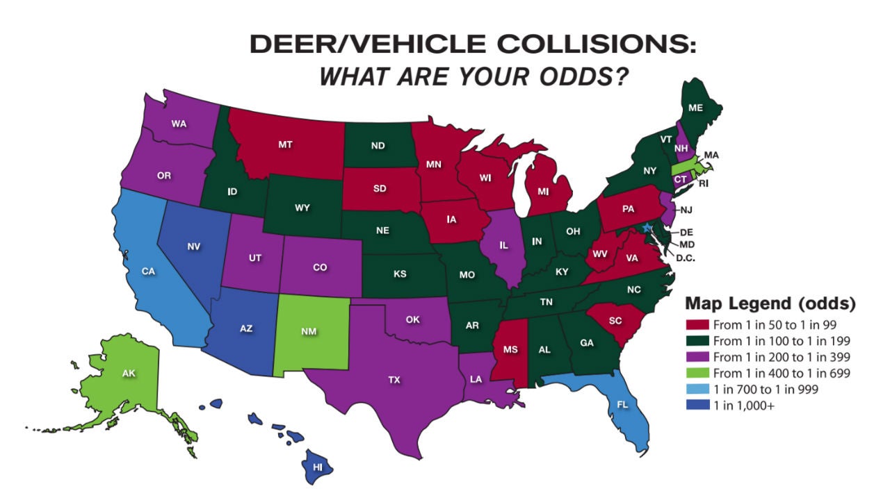 State-by-State: What Are Your Chances of Having a Collision With a Deer ...