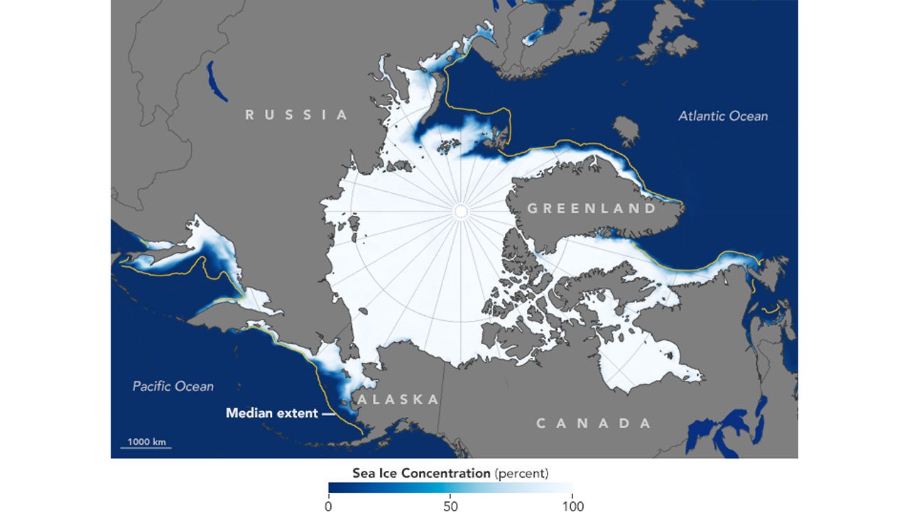 Arctic Ocean Ice Map