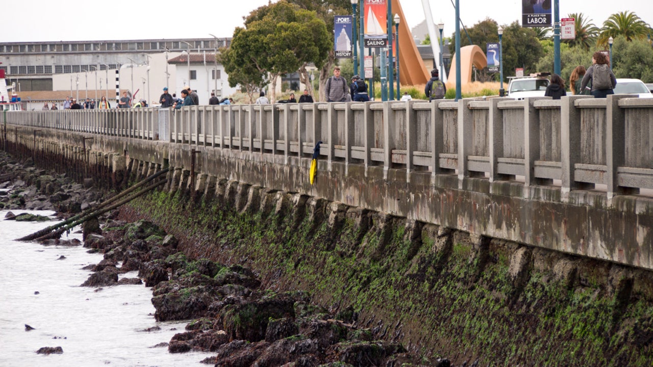 With Sea Level Rise in Mind, San Francisco Port Gets Dozens of Ideas ...