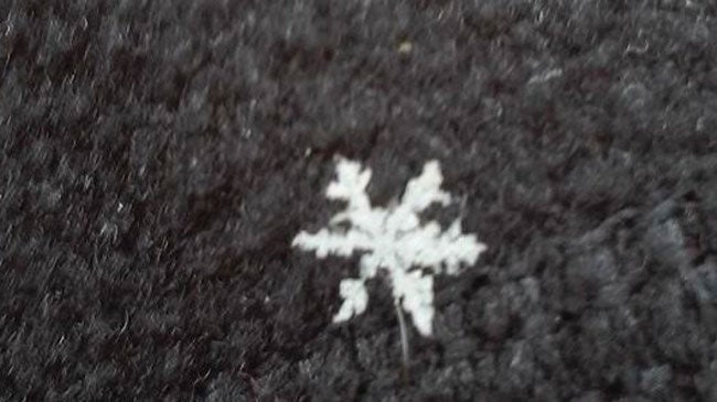 Here's Why Snowflakes Can Be Large or Small | Weather.com