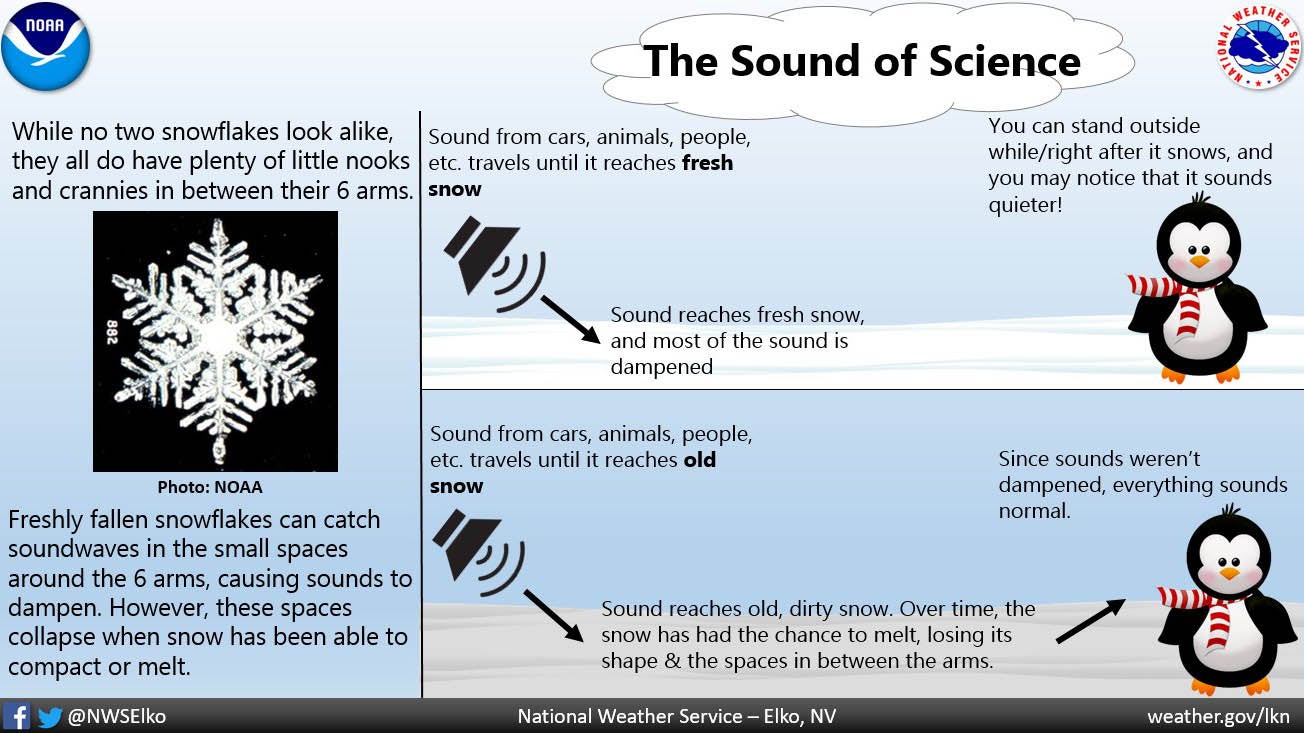 Snowfall, Nature's Ear Plug, Makes It Quieter Outside | The Weather Channel