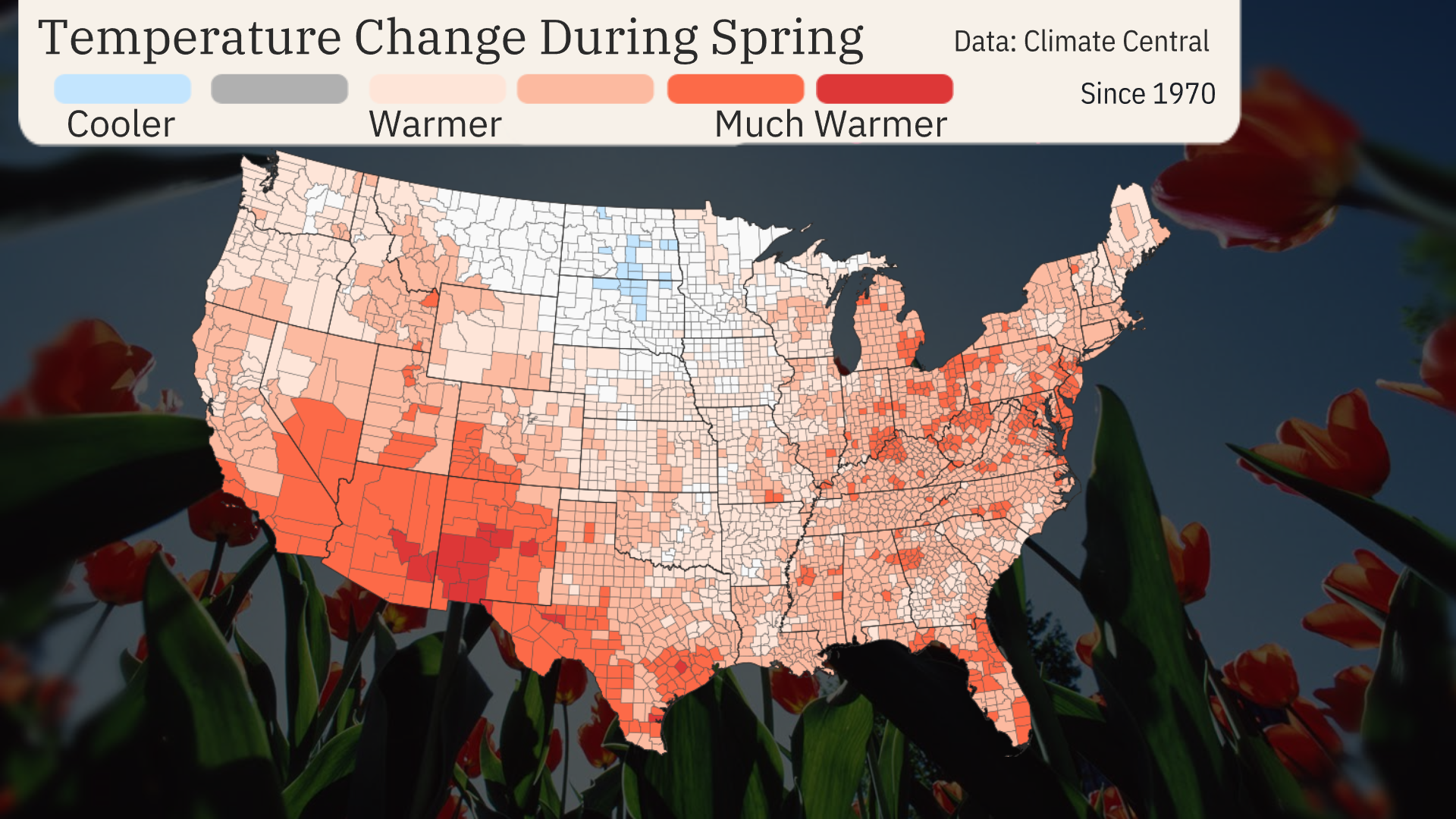 Longer Growing Season Means Longer Allergy Season | Weather.com