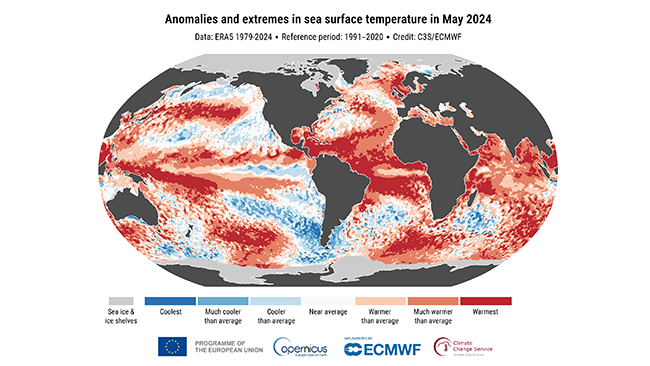 Earth's Warmest May Is 12th Straight Record Month | Weather.com