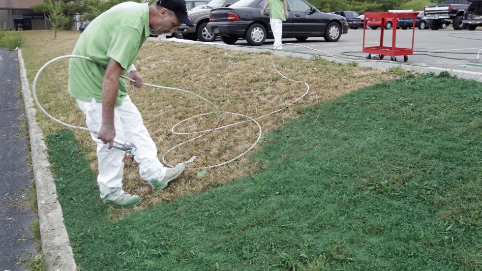 As Drought Spreads, Turf Painting Catches On | The Weather Channel