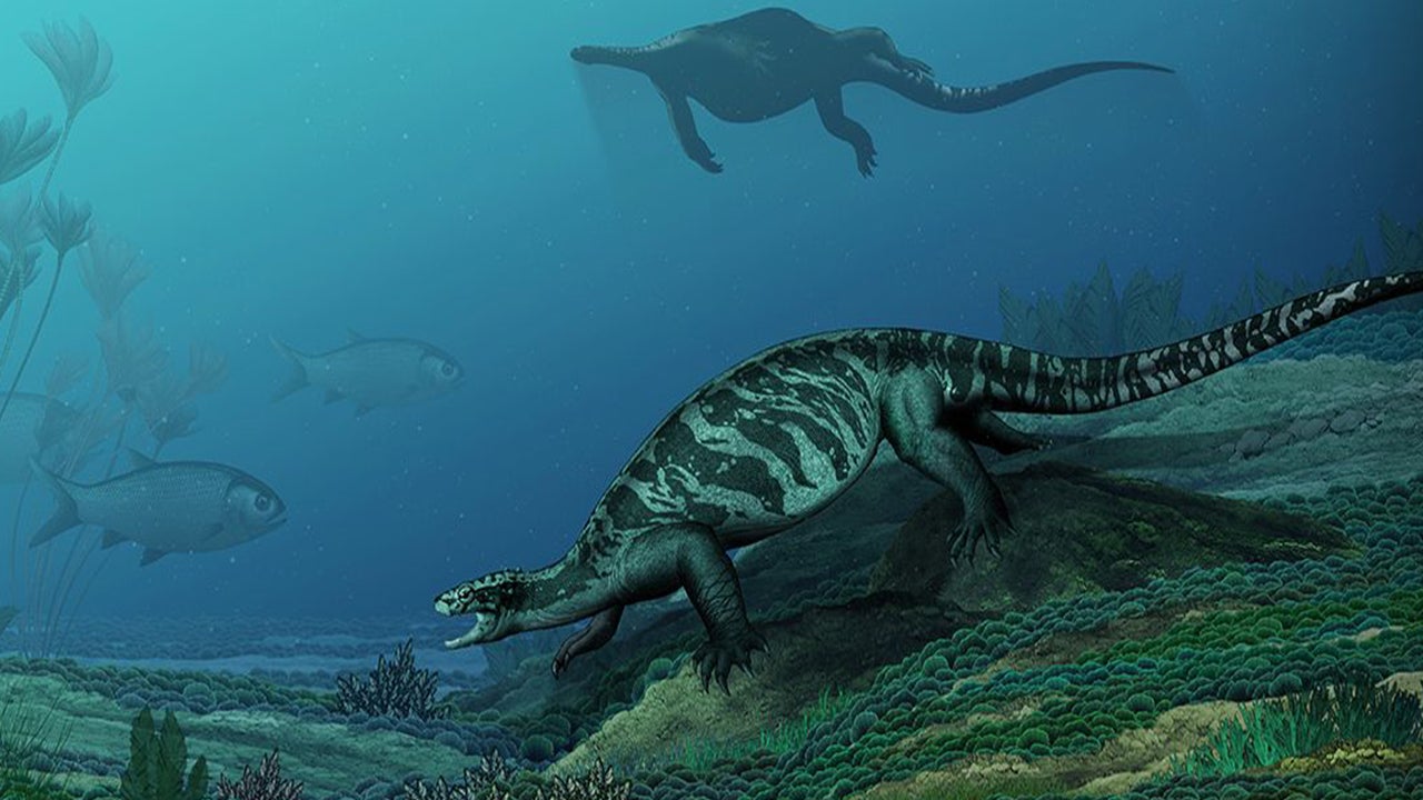 228-Million-Year-Old Fossilized Turtle With No Shell Discovered In ...