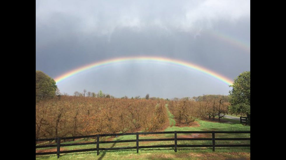 Image of Rainbow and Mammatus Clouds in Virginia Wows Meteorologists ...