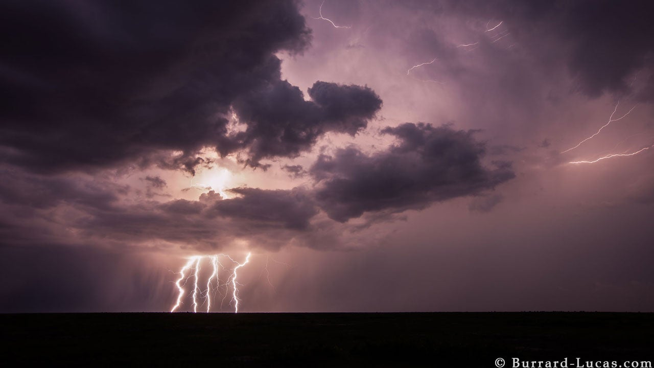 Nocturnal Photo Session Shows African Wildlife in a New Light | The ...