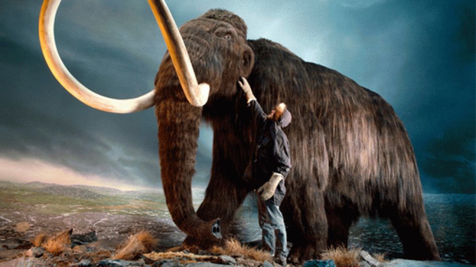 Should Scientists Bring Back Extinct Beasts? | Weather.com