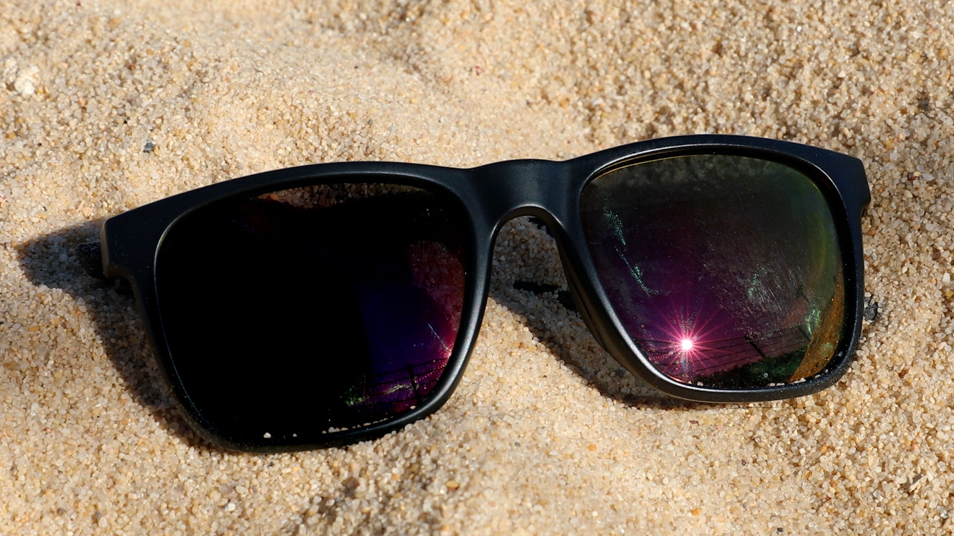 Bugs Begin To Emerge As Temperatures Warm - Videos from The Weather Channel