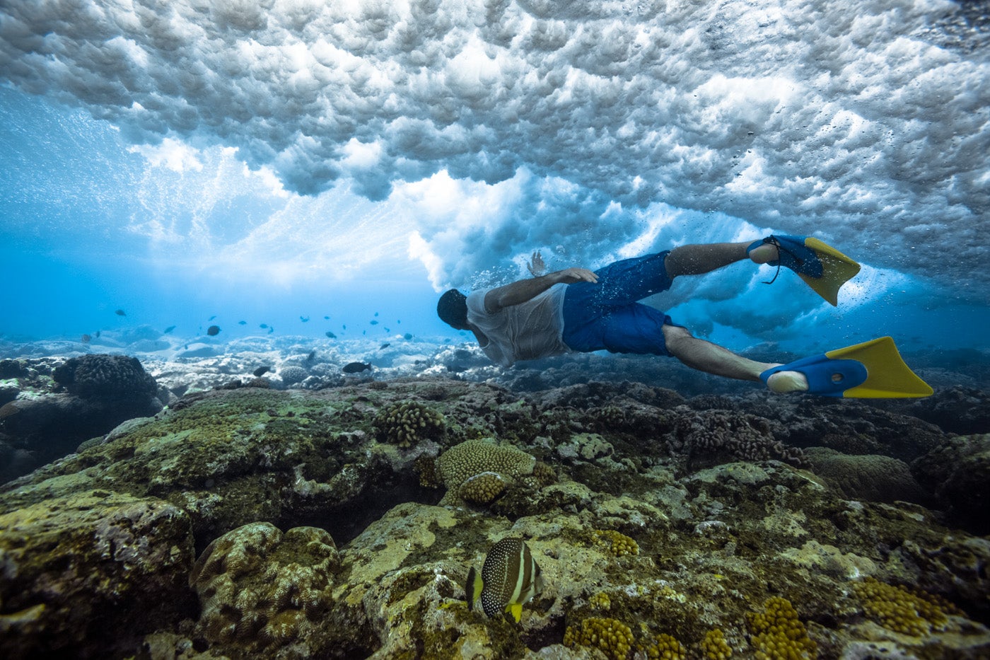 Underwater Swimmers Captured in Incredible Photos | Weather.com
