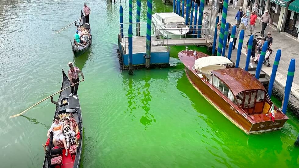 Python Kills Security Guard Near Bali Luxury Hotel | The Weather Channel