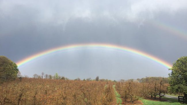 Lucky April? Double Rainbow Spotted in D.C. Area for Second Time this ...