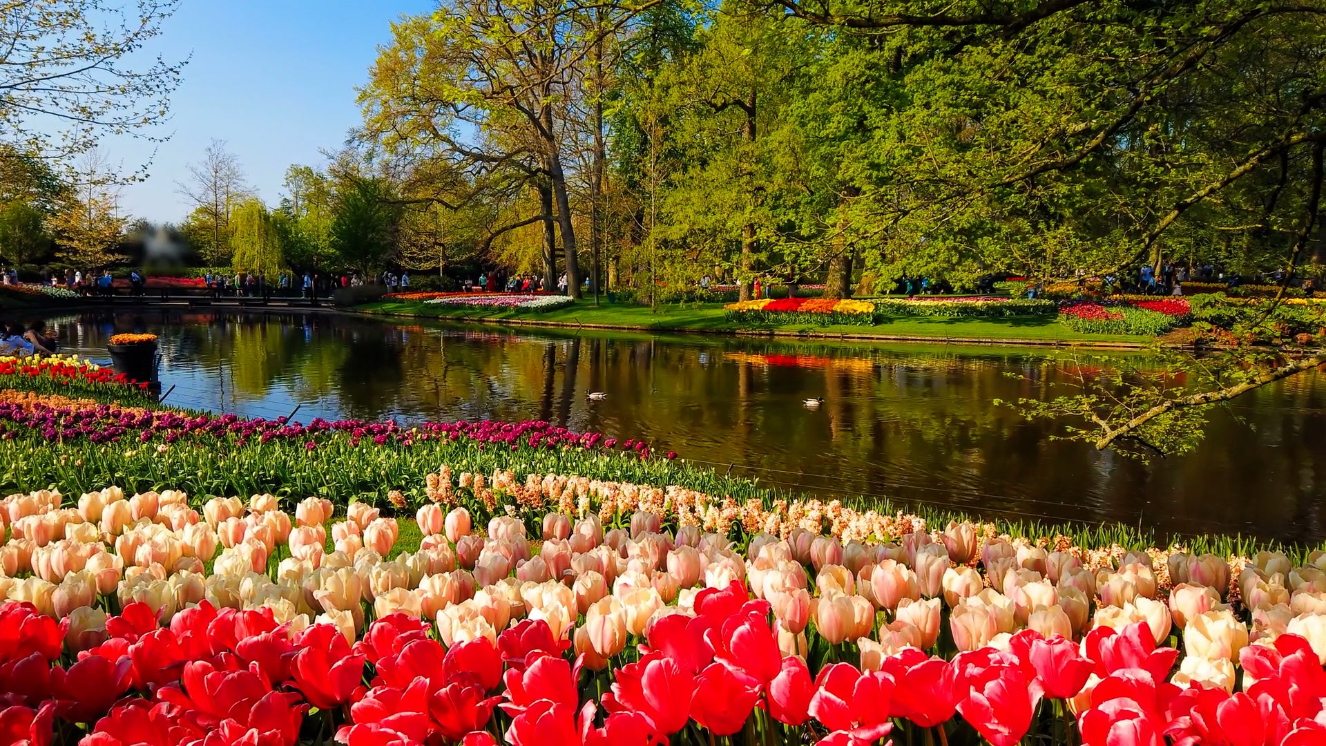 National and Local Weather Radar, Daily Forecast, Hurricane and ...