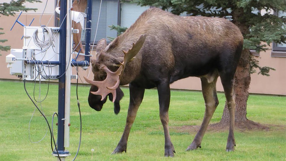 The Strange Things Meteorologists and Engineers See While Maintaining ...