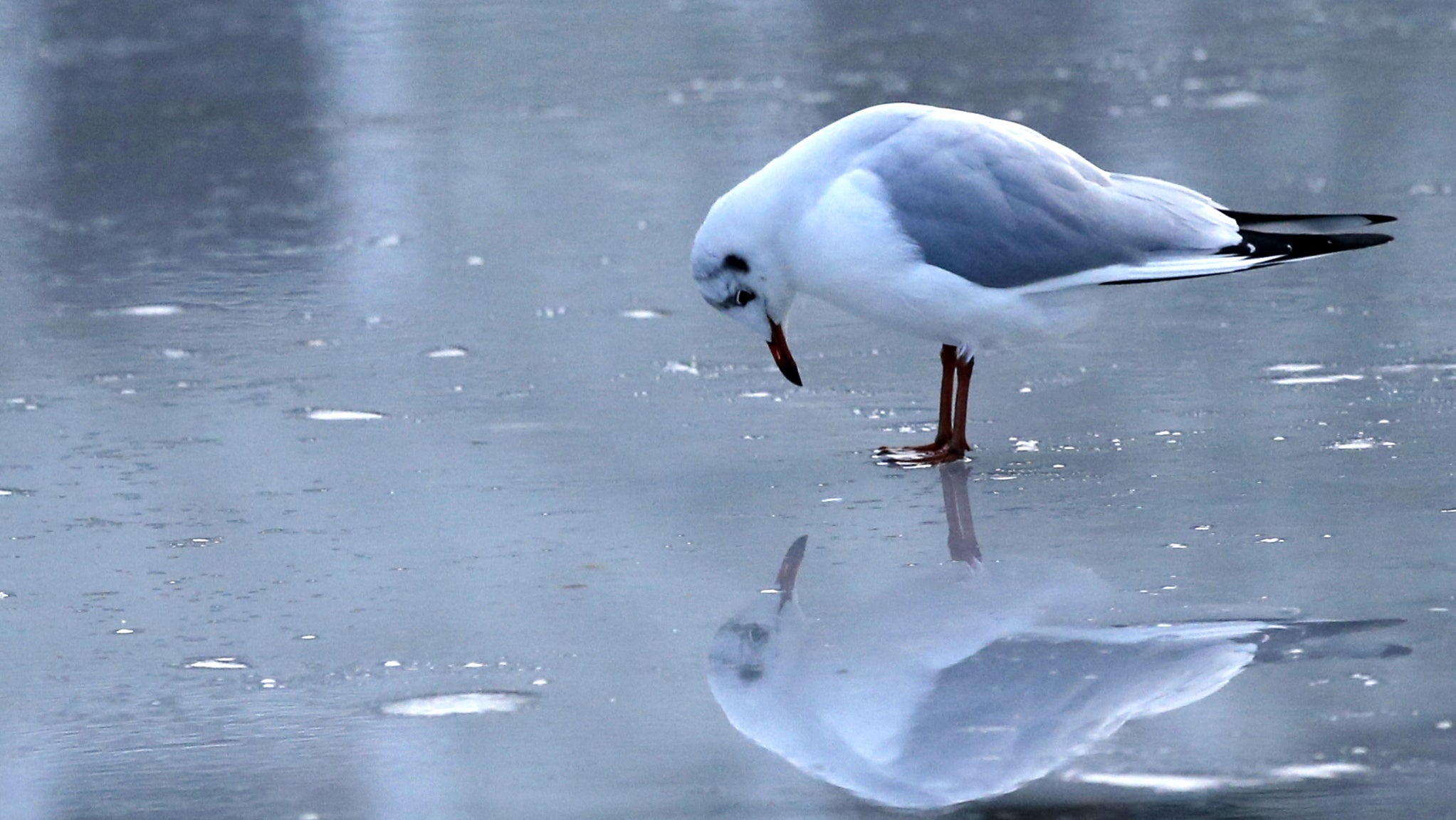 The Most Amazing Weather Images of the Week | Weather.com