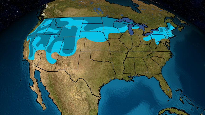 White Christmas Outlook: Where the Best Chance of Christmas Snow on the ...