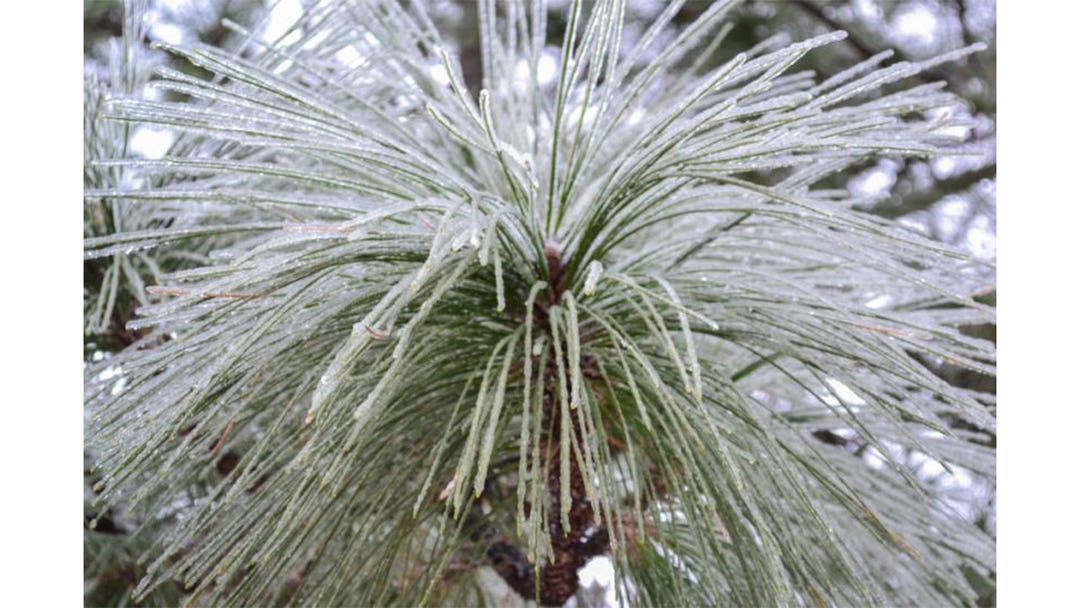 We Asked, You Shared: Beautiful Winter Wonderland Photos | The Weather ...
