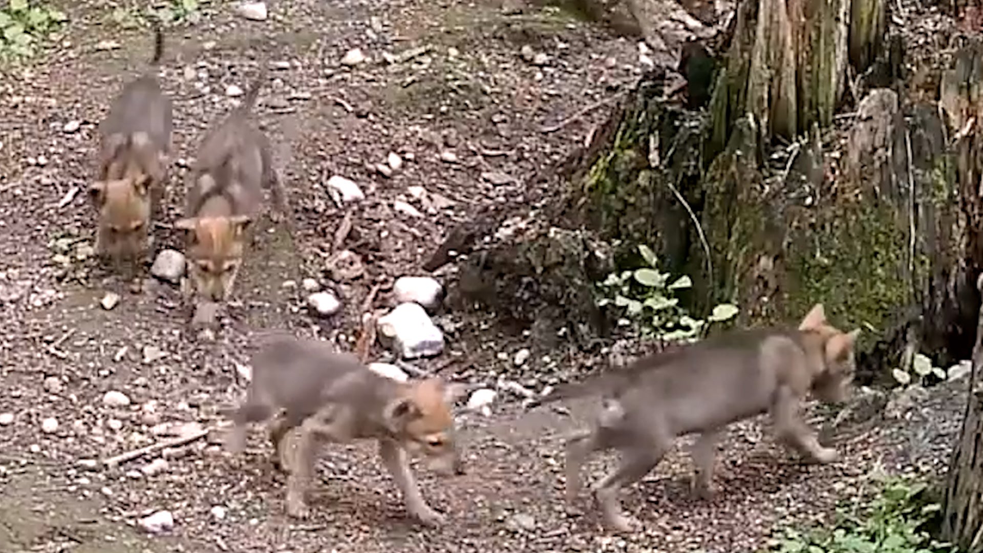 Weather Forecast and Conditions for Modesto, CA - The Weather Channel ...