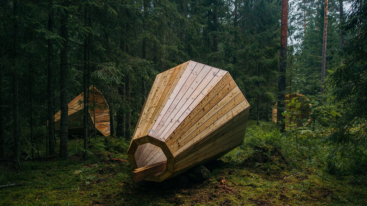Hear a Forest Through Giant Megaphones (PHOTOS) | The Weather Channel