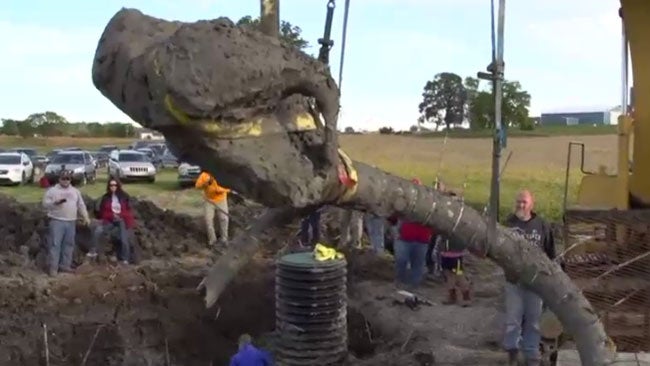 Michigan Farmer Unearths Remains of Wooly Mammoth Up to 15,000 Years ...