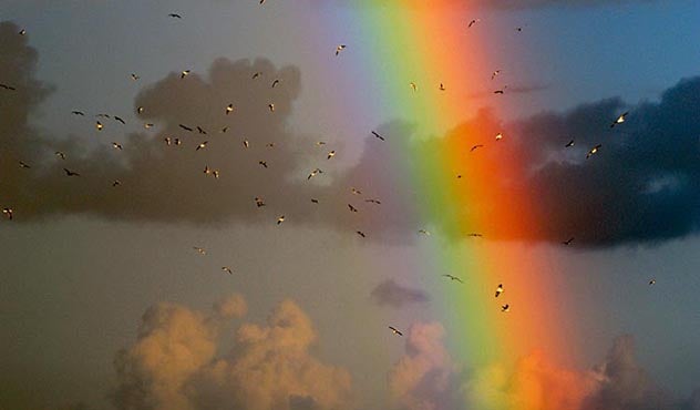 The Top Ten All-Time Greatest Wunderphotos | Weather Underground