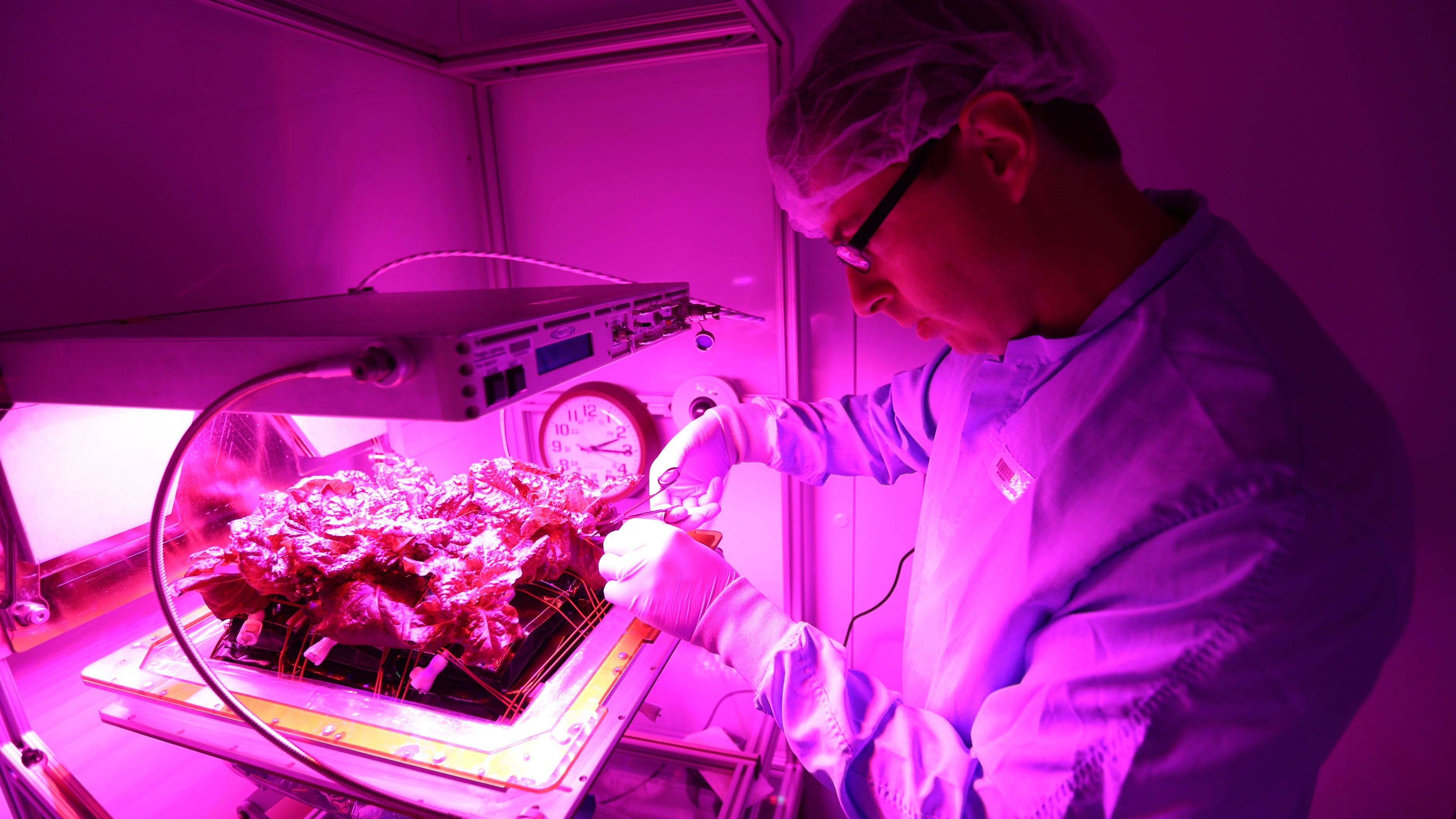 The coolest science experiments on the International Space Station